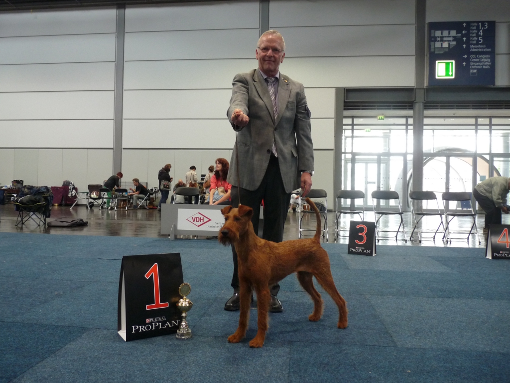 Irish Fellow | Irish Online